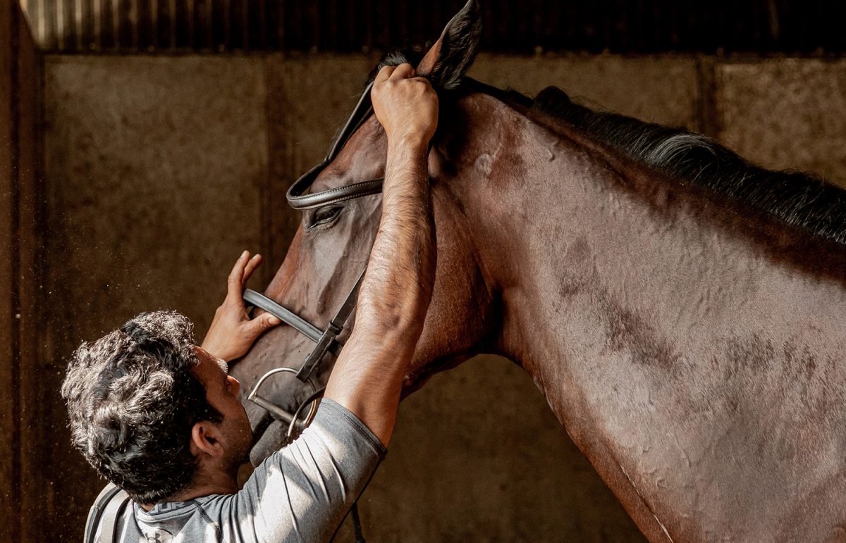 Elite Group One Winning Horse Trainers - Kingsclere Stables