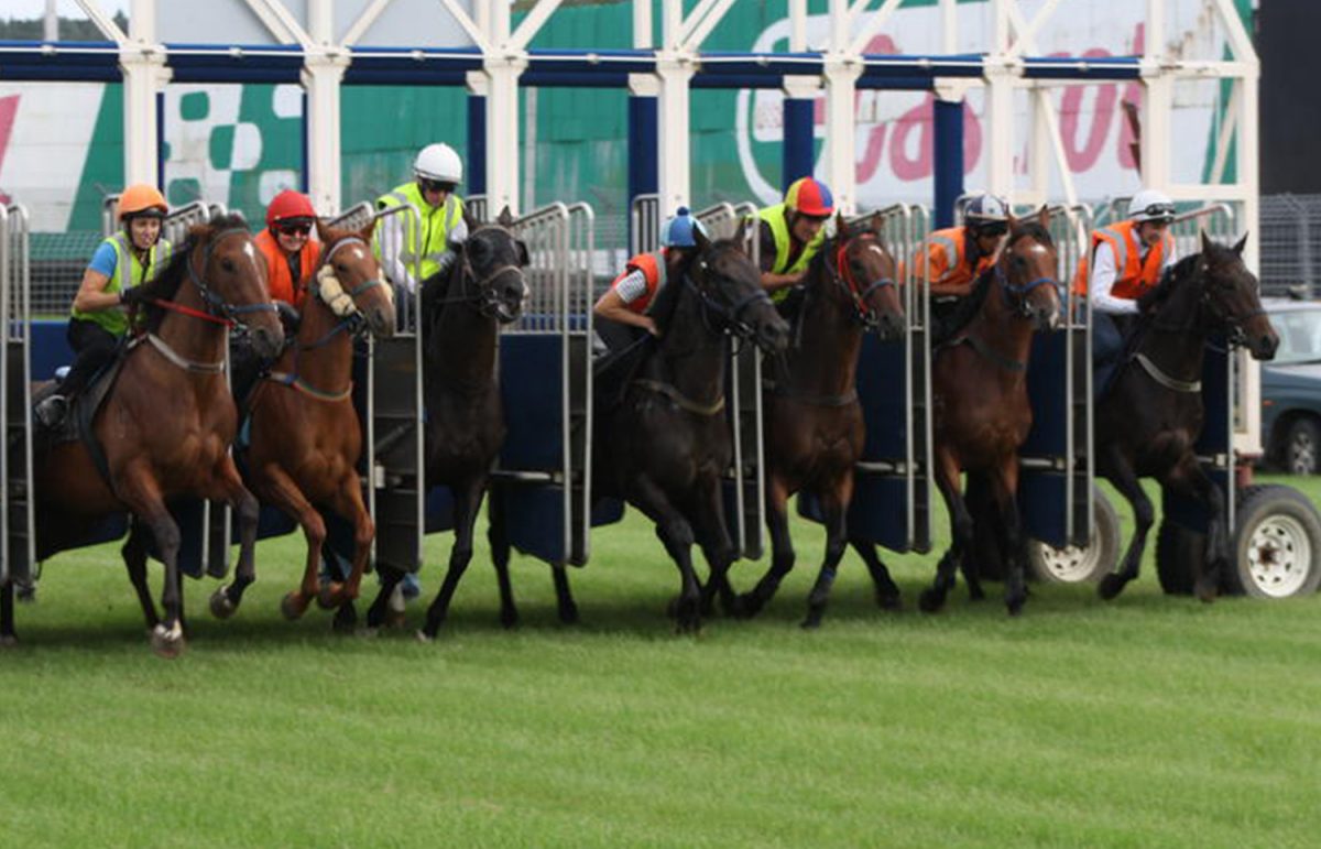Elite Group One Winning Horse Trainers - Kingsclere Stables