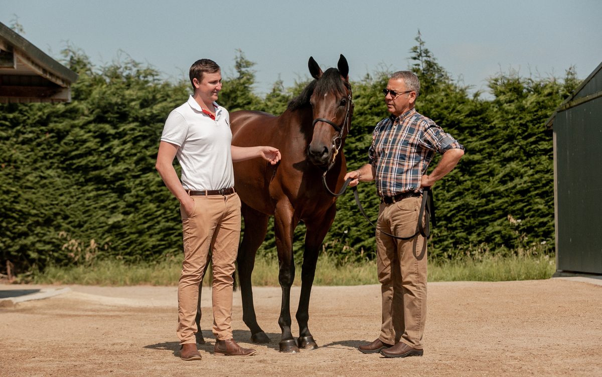 Services - Kingsclere Stables