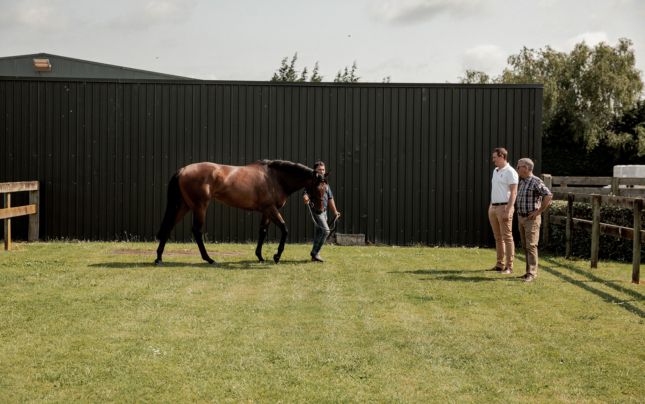 Services - Kingsclere Stables