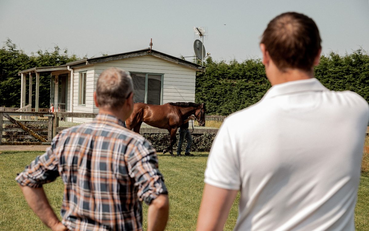 Services - Kingsclere Stables