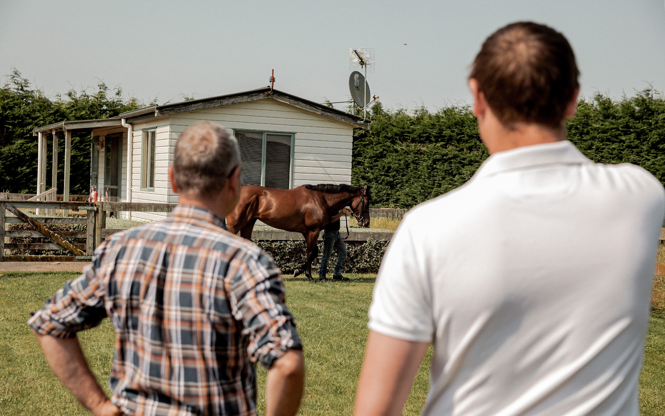 Services - Kingsclere Stables