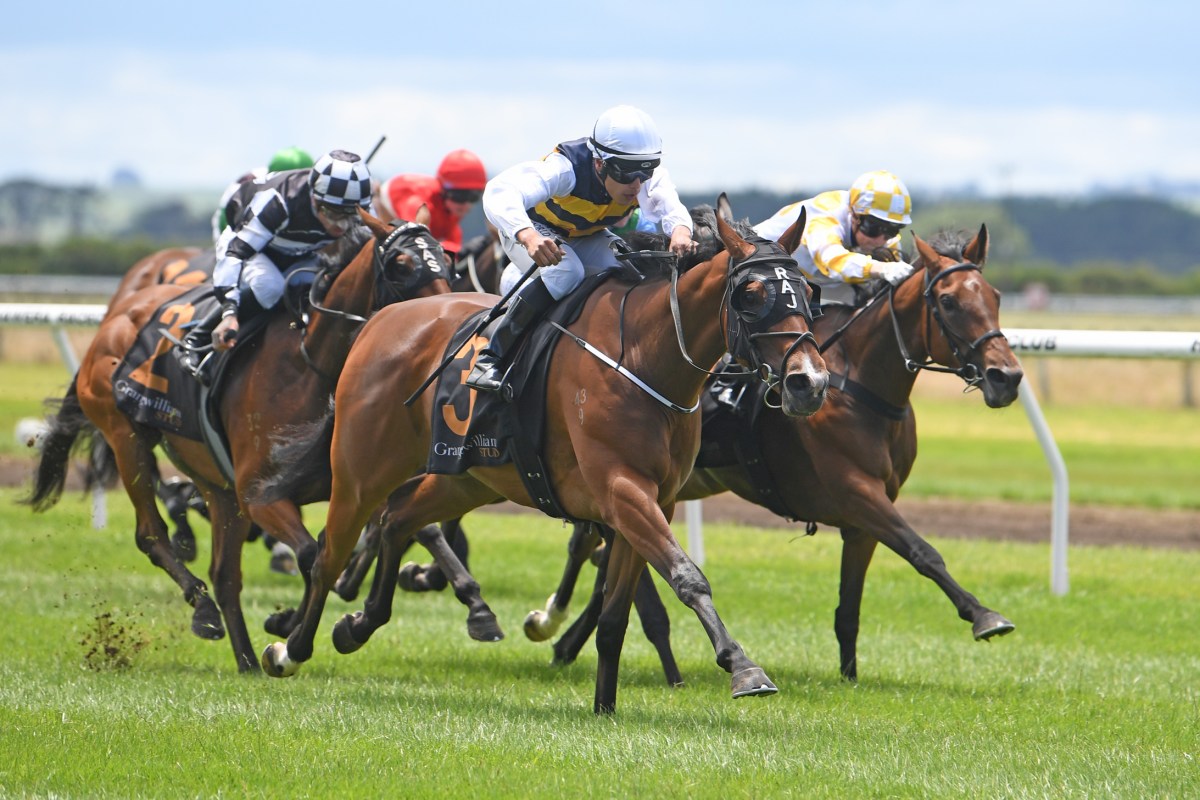 News - Kingsclere Stables