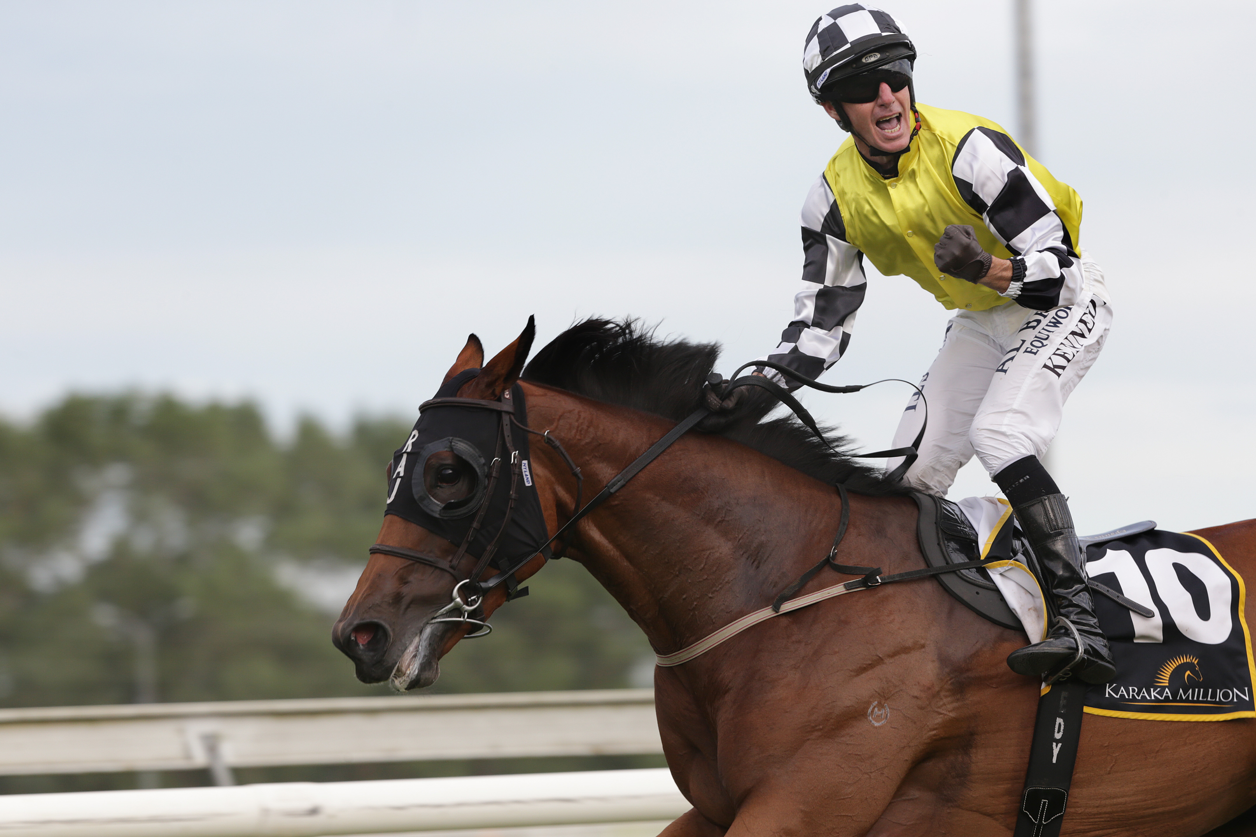 Elite Group One Winning Horse Trainers - Kingsclere Stables