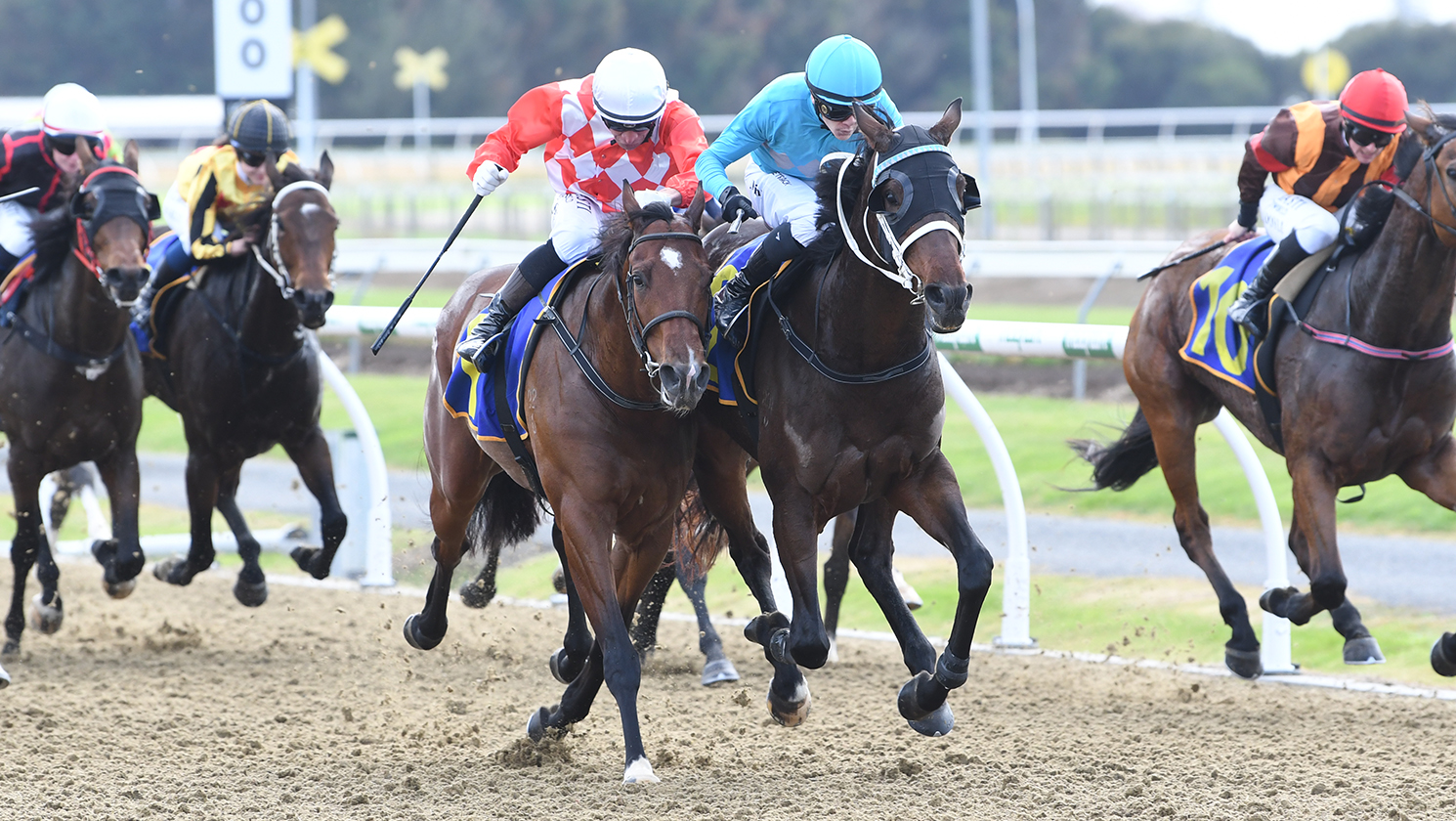 Elite Group One Winning Horse Trainers - Kingsclere Stables