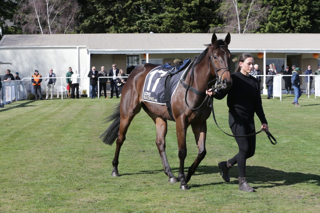 James delighted with outstanding Orchestral - Kingsclere Stables