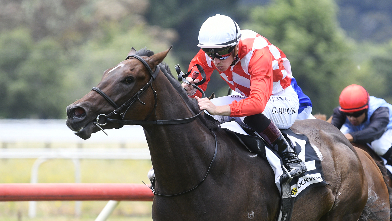 Rich targets on the radar for promising three-year-old - Kingsclere Stables