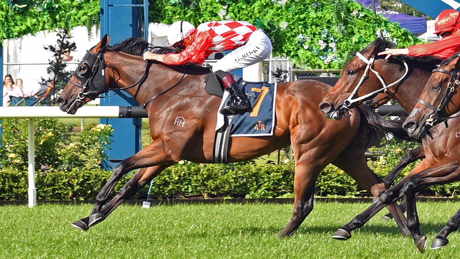 Elite Group One Winning Horse Trainers - Kingsclere Stables