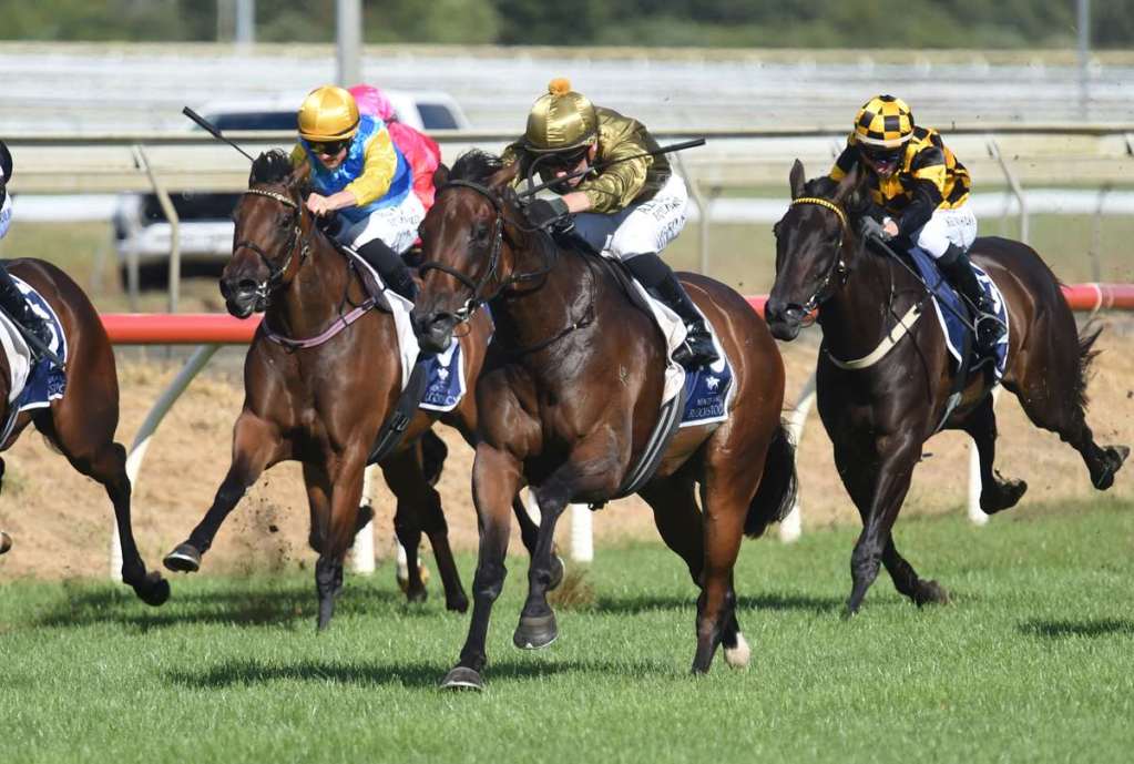 Elite Group One Winning Horse Trainers - Kingsclere Stables